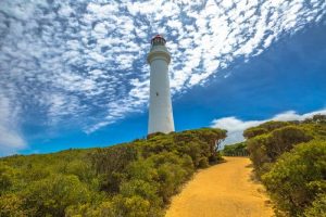 15 Top Things To Do In Anglesea: Travel Guide [2023] - Everywhere Australia